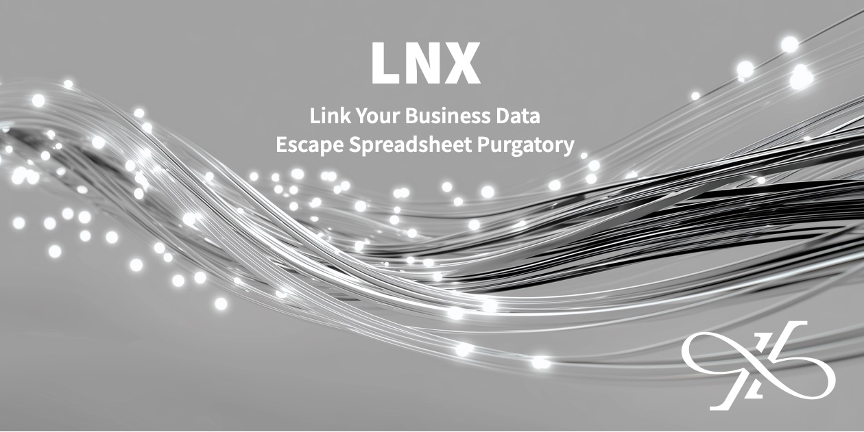 LNX - Link Your Business Data